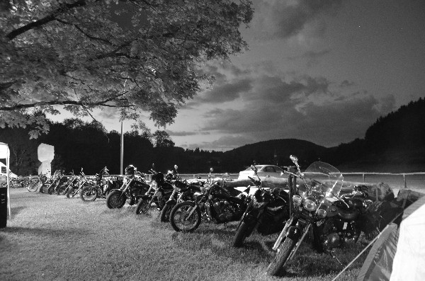 Im Netz entdeckt: Der Wild Life MC - Bikes, Music & More